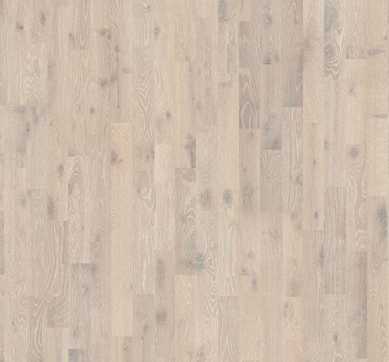 Oak Shell | Nordic Homeworx